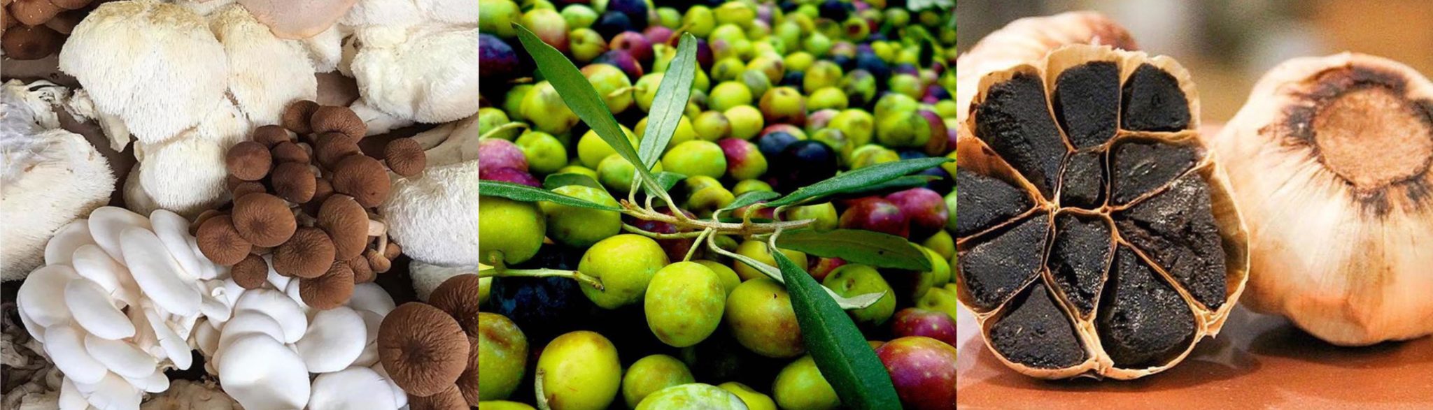 Other Texas Products - Farm to Table Texas