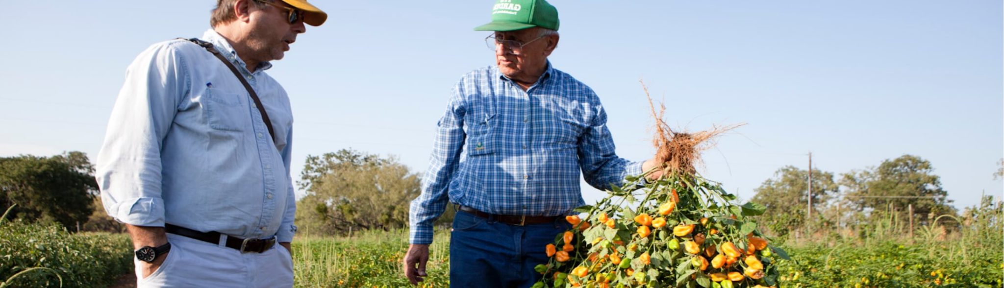 Contact Us - Farm to Table Texas
